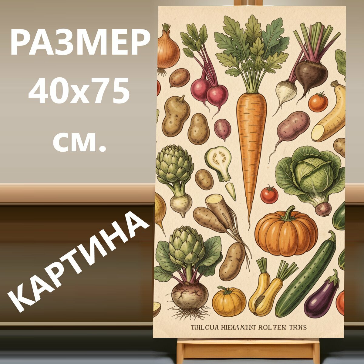Картина на холсте "Разнообразные овощи на бежевом фоне. Натюрморт с набором садовых овощей и зелени: морковь, свекла, картофель, лук, кабачки." на подрамнике 75х40 см. для интерьера