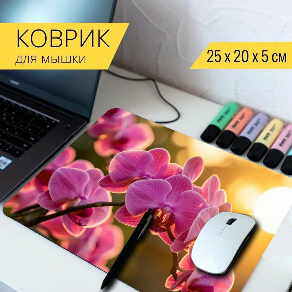 Коврик для мыши с принтом "Розовые орхидеи на закате. Изящные цветки фаленопсиса с нежными лепестками в розово-лиловых оттенках, мягкий солнечный свет, размытый фон и." 25x20см.