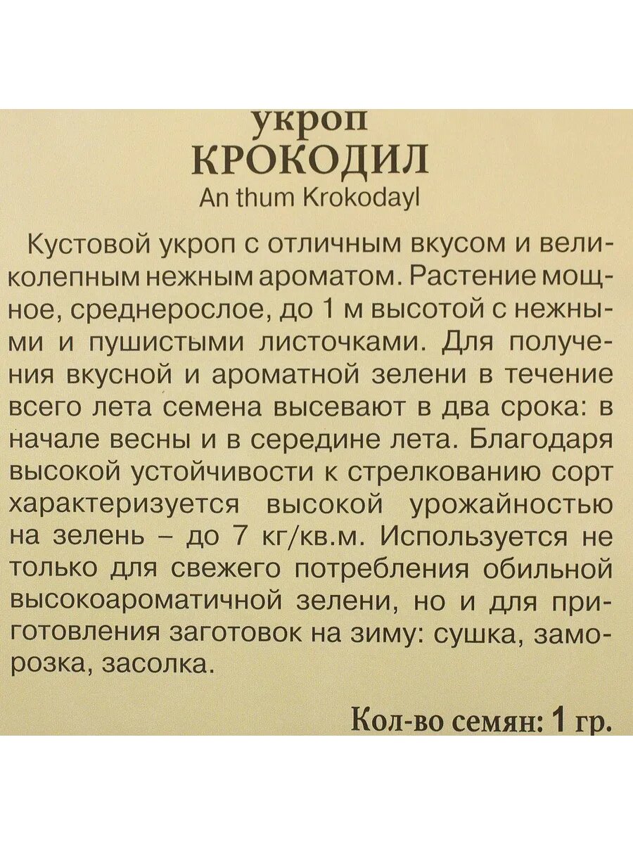Семена Укроп «Крокодил» — фото 1