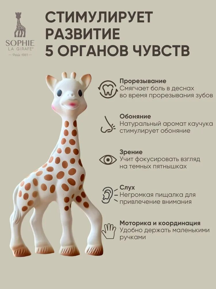 Прорезыватель — фото 1