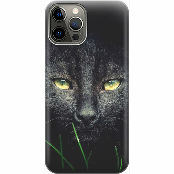 Силиконовый чехол на Apple iPhone 12 Pro Max / Эпл Айфон 12 Про Макс с рисунком "Кошка в темноте"