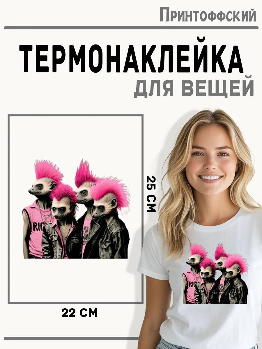 Термонаклейка для одежды и аксессуаров DTF-печать Панки — фото 1