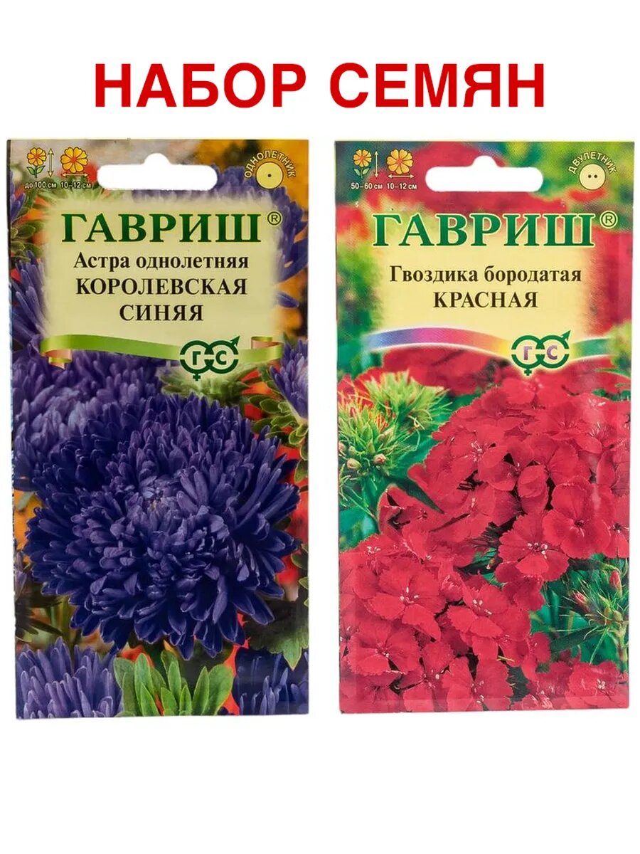Набор семян Астра Королевская синяя 0.3г и гвоздика Красная 0.1г