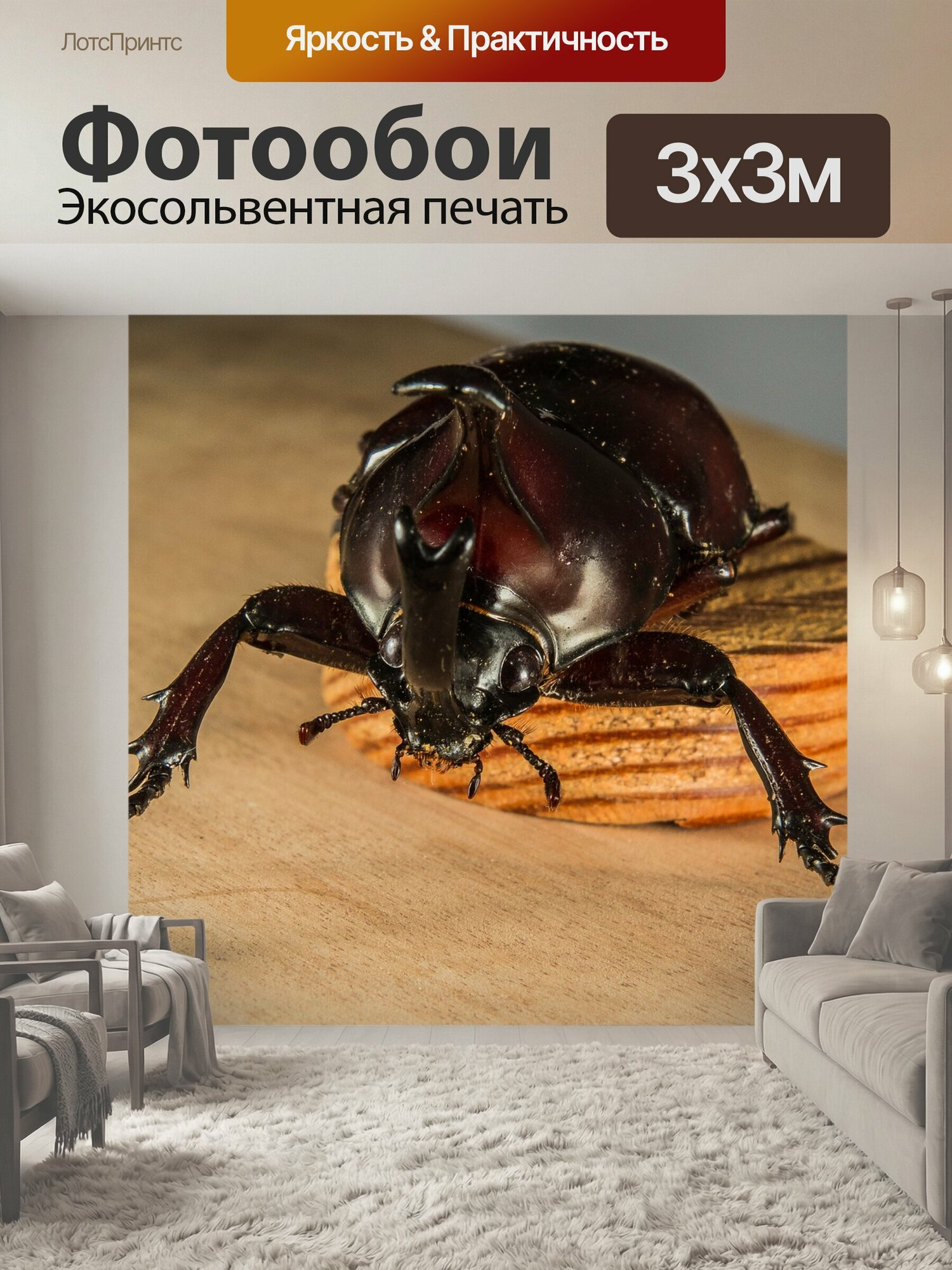 Фотообои "Тропических жуков, жук носорог, riesenkaefer" 300x300 см. экосольвентная печать