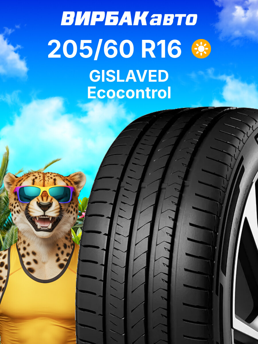 Летние шины GISLAVED EcoControl 205/60R16 92V
