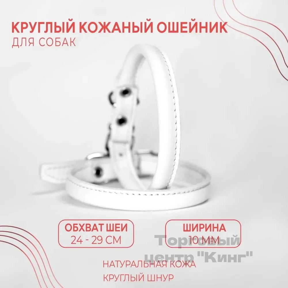 Круглый кожаный ошейник (обхват шеи 24-29 см.) для маленьких пород собак с пушистой шерстью / Белый