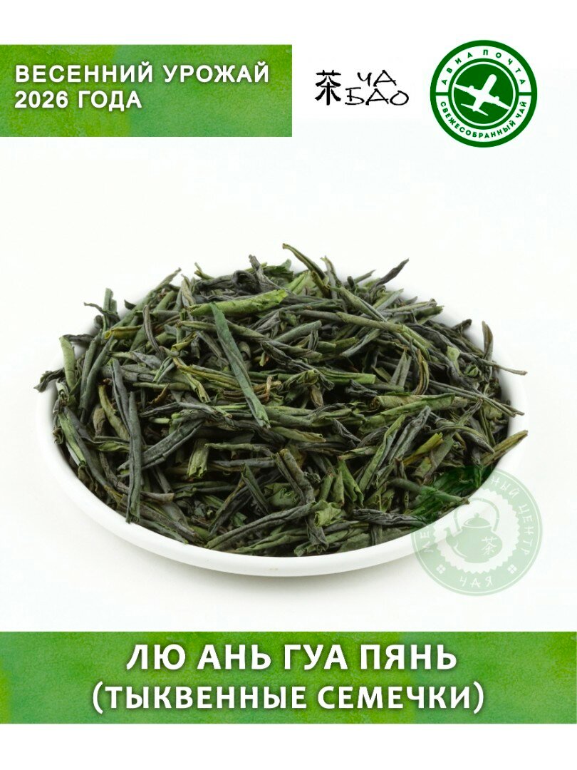 Чай зелёный, урожай 2026 - Лю Ань Гуа Пянь (Тыквенные семечки), Авиа, 20 гр.