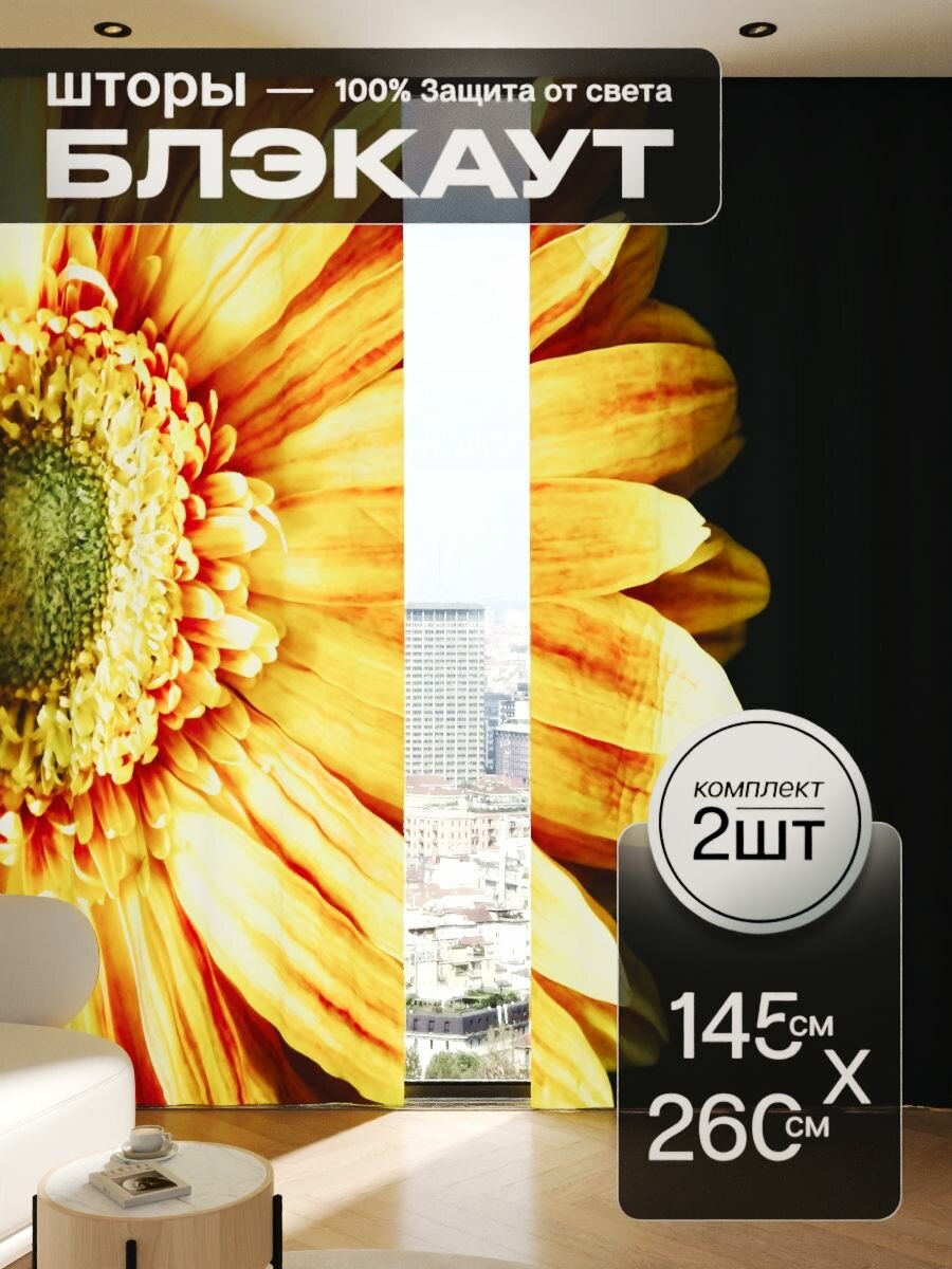 Шторы блэкаут 145x260 см 2 шт на окна плотные комплект