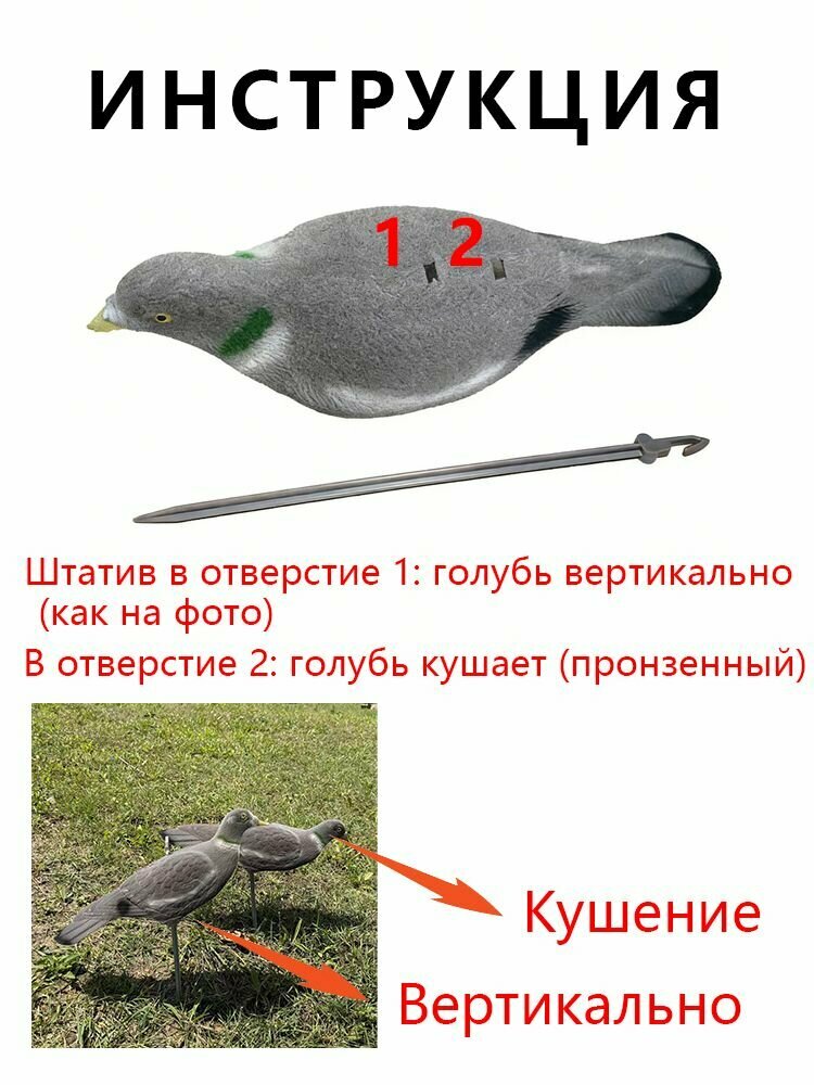 Чучело — фото 1