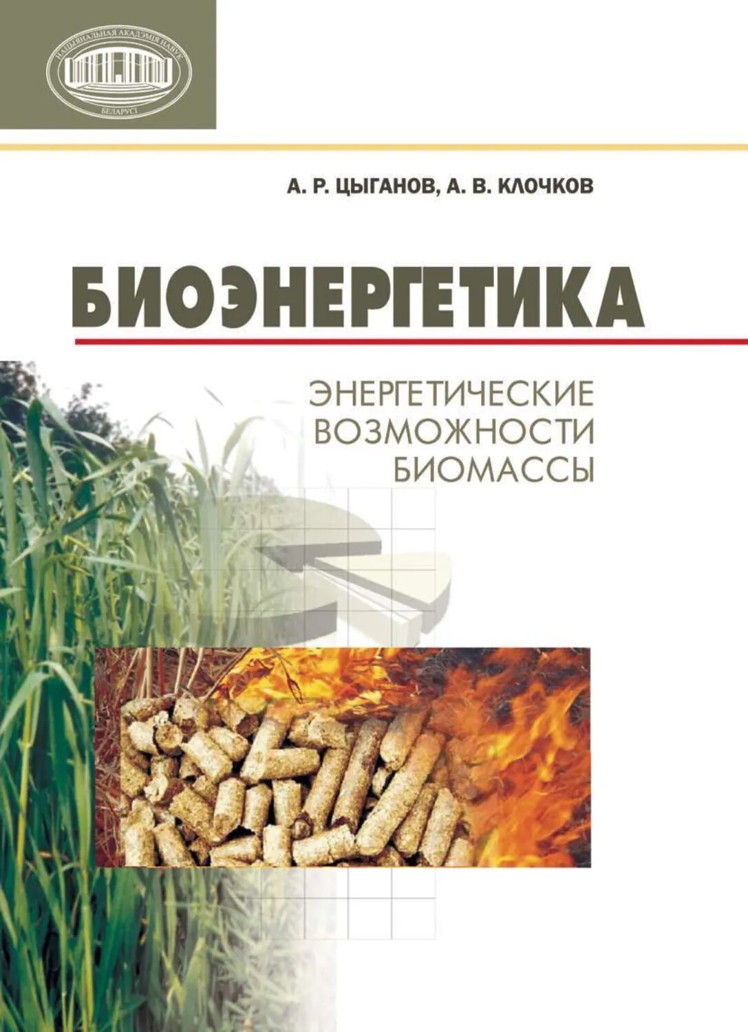 Биоэнергетика. Энергетические возможности биомассы [Цифровая книга]