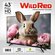 Телевизор WildRed 43QWS9002