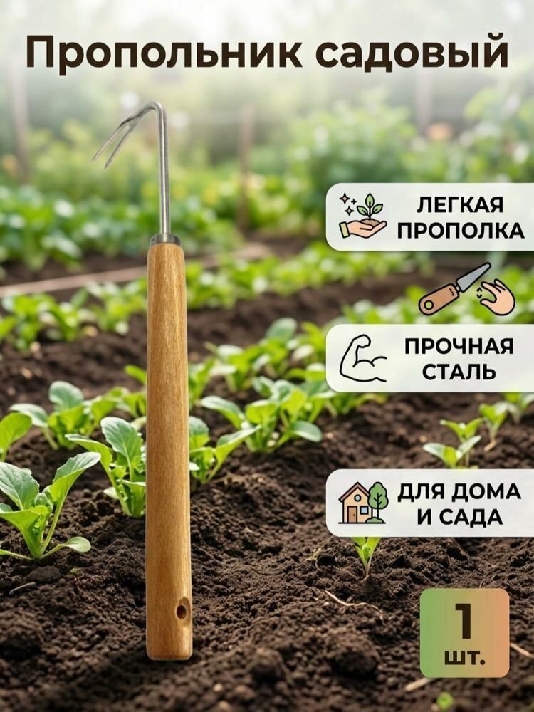 Кустодер