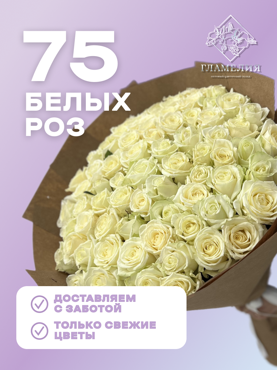 Гламелия цветы «Белое облако»: 75 роз Avalanche в крафте – купить свежие цветы с доставкой в Москве