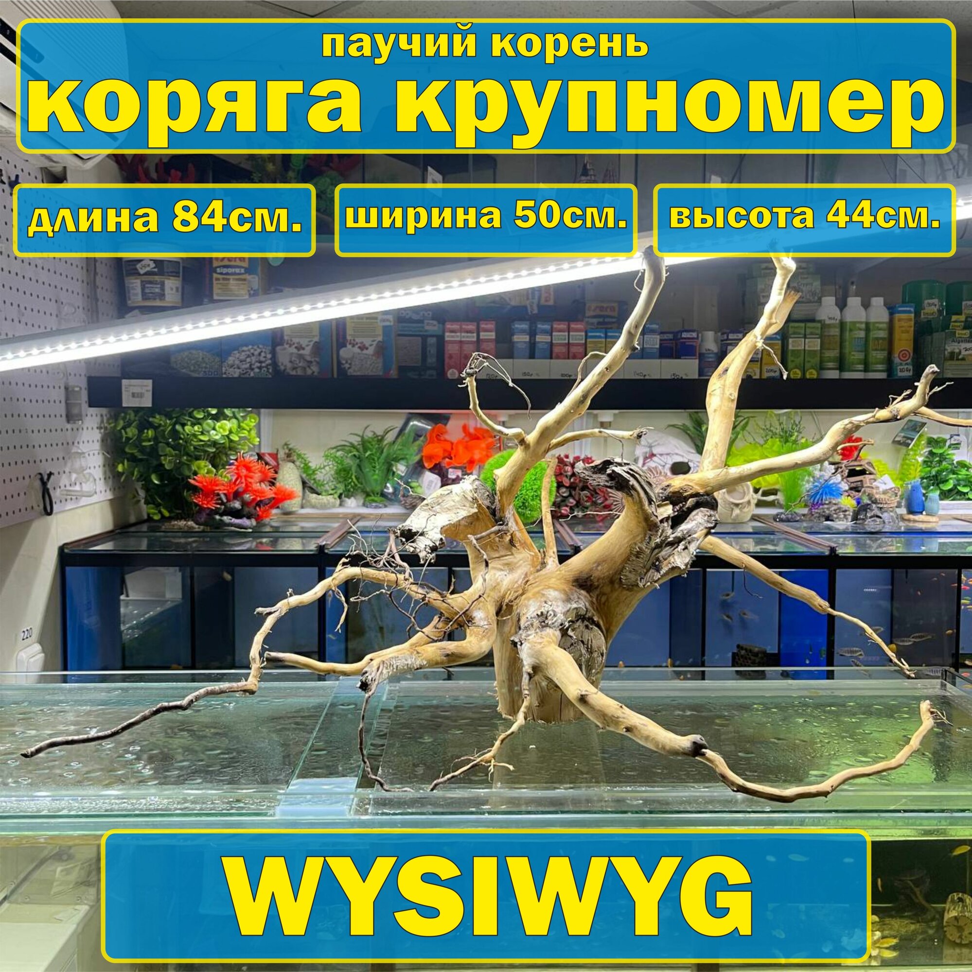 Коряга Паучий корень крупномер 84х50х44 см для больших аквариумов и террариумов/ Визивиг/ аквариумная декорация