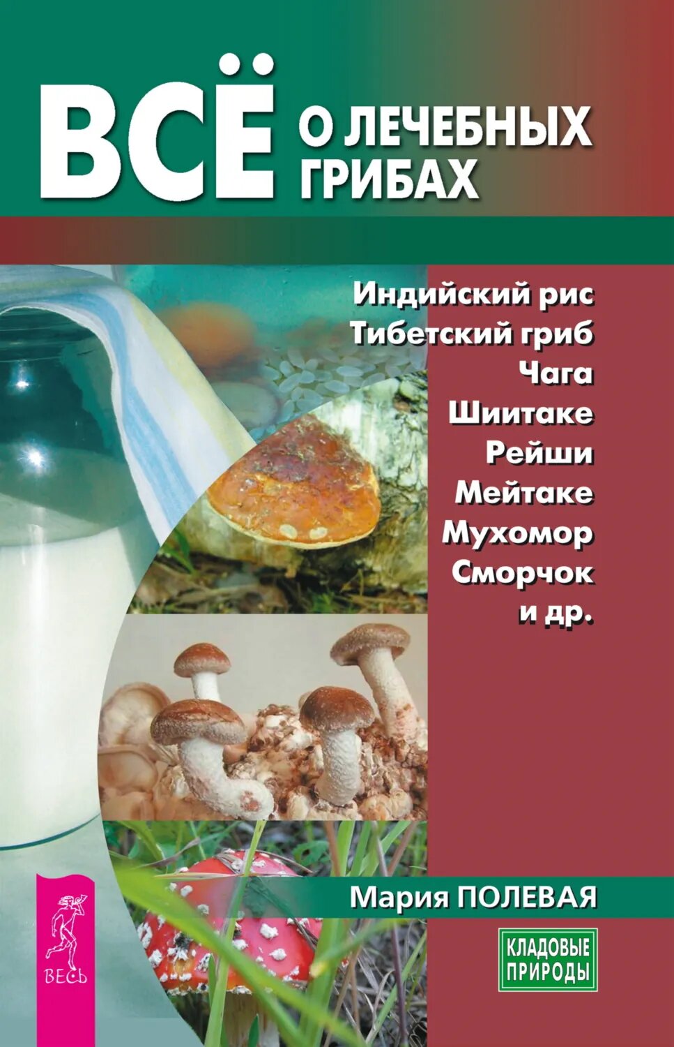 Всё о лечебных грибах [Цифровая книга]