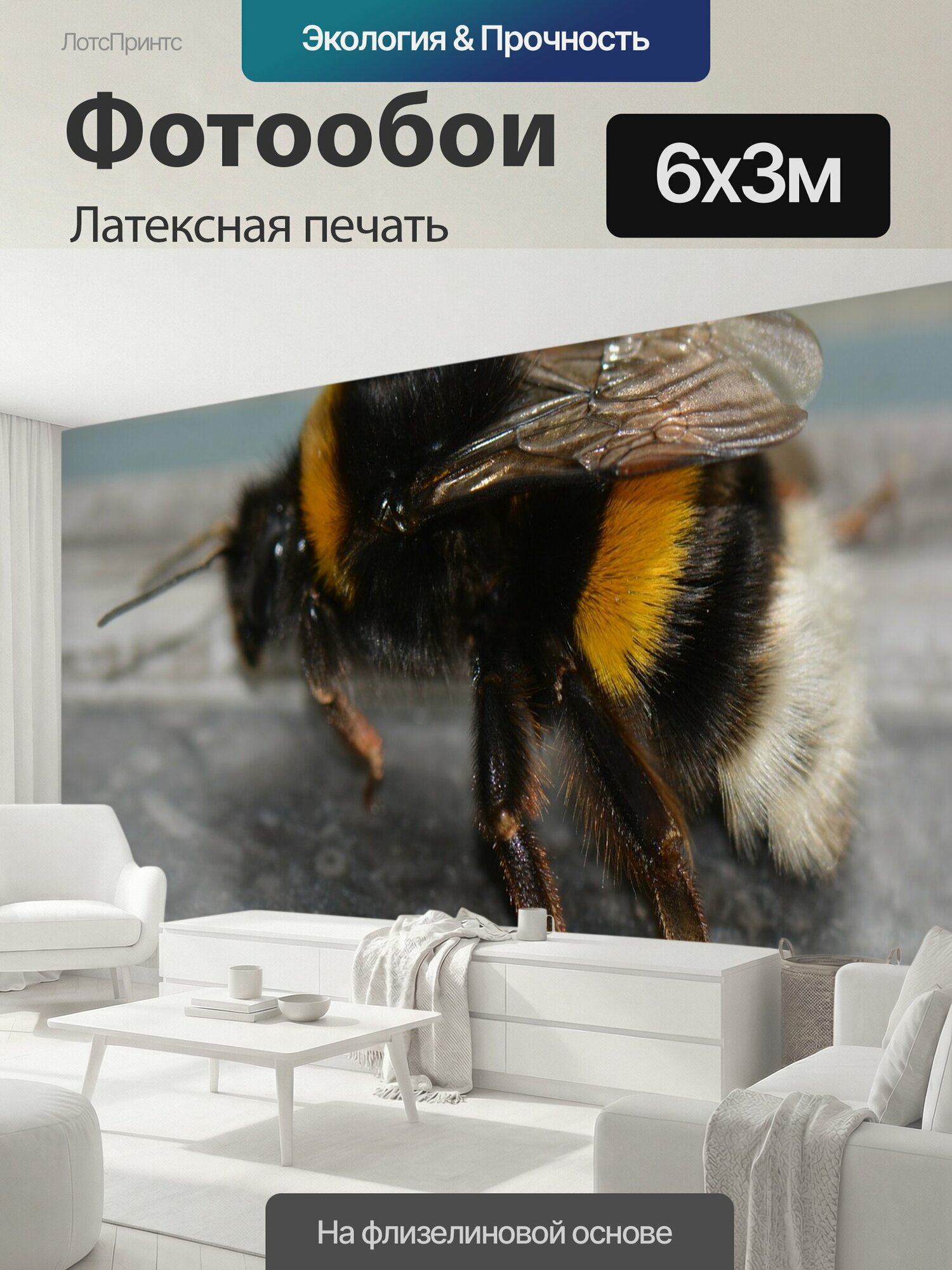 Фотообои моющиеся ударопрочные "Шмель, ошибка, животное" 600x300 см. латексная печать