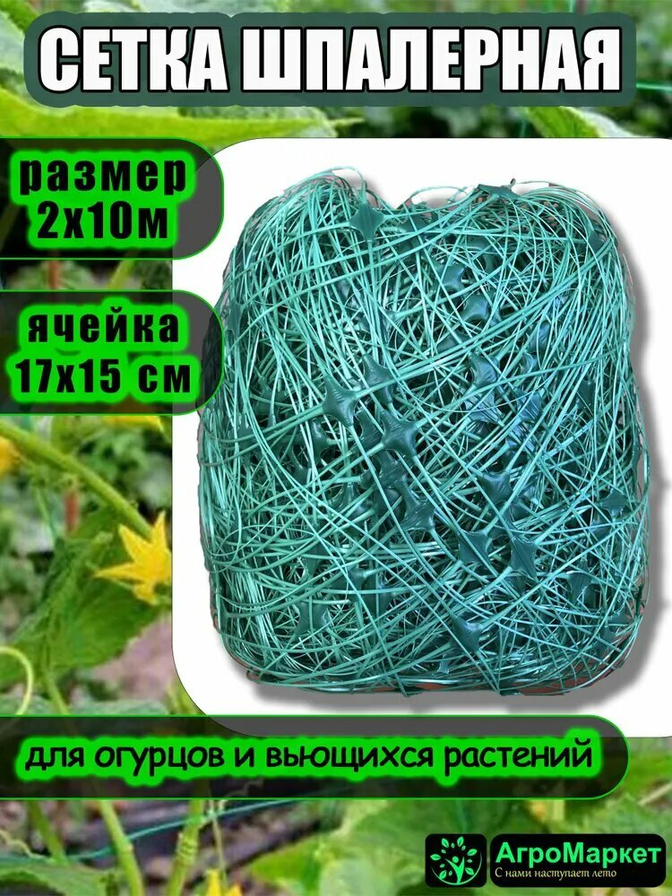 Сетка садовая шпалерная 2х10 м