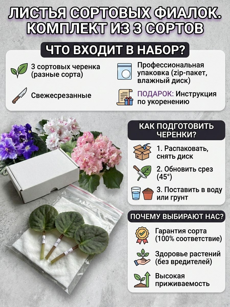 Набор листиков сортовых фиалок стандартных сортов, набор из 3 шт