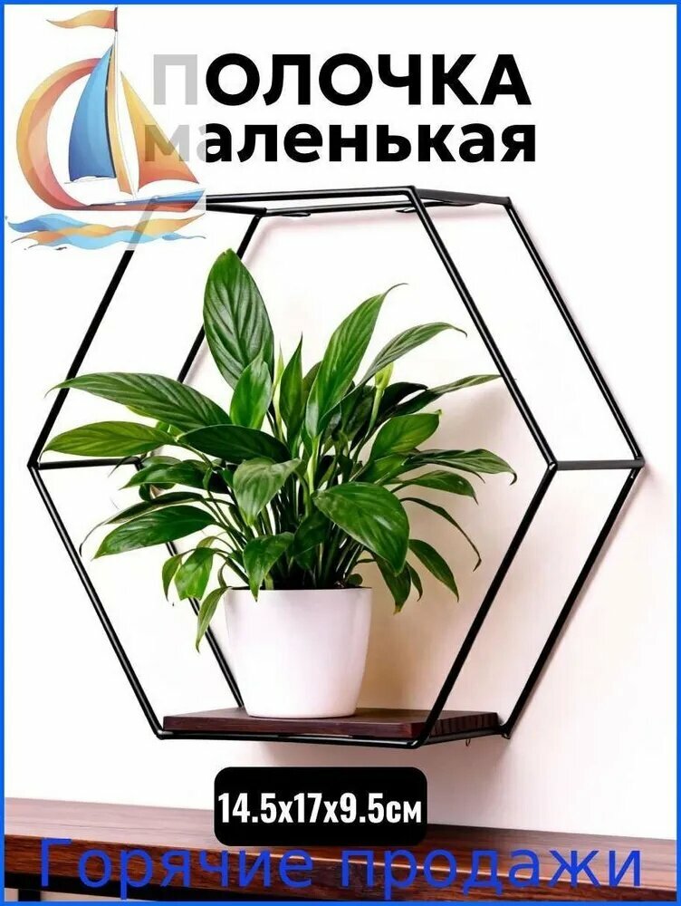 Полка интерьерная с крючками Настенная Прямая, 17х9.5х14.5 см, 1 шт.