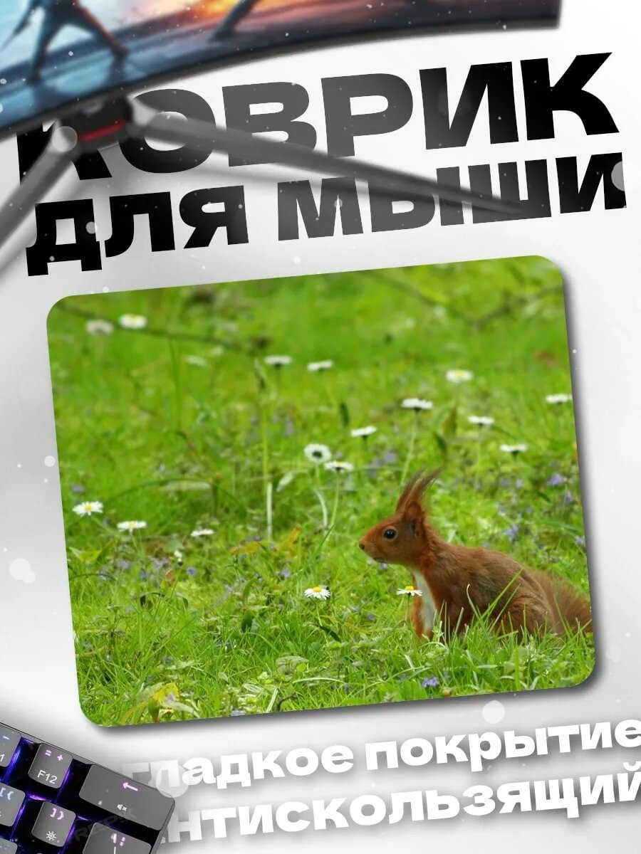 Коврик для мыши Белка на лугу