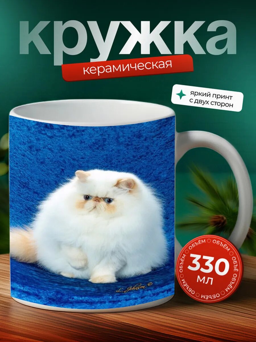 Кружка Иранский персидский кот 4,
