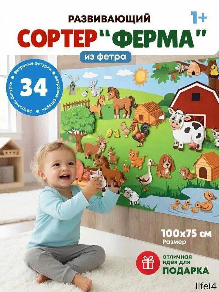 Сортер