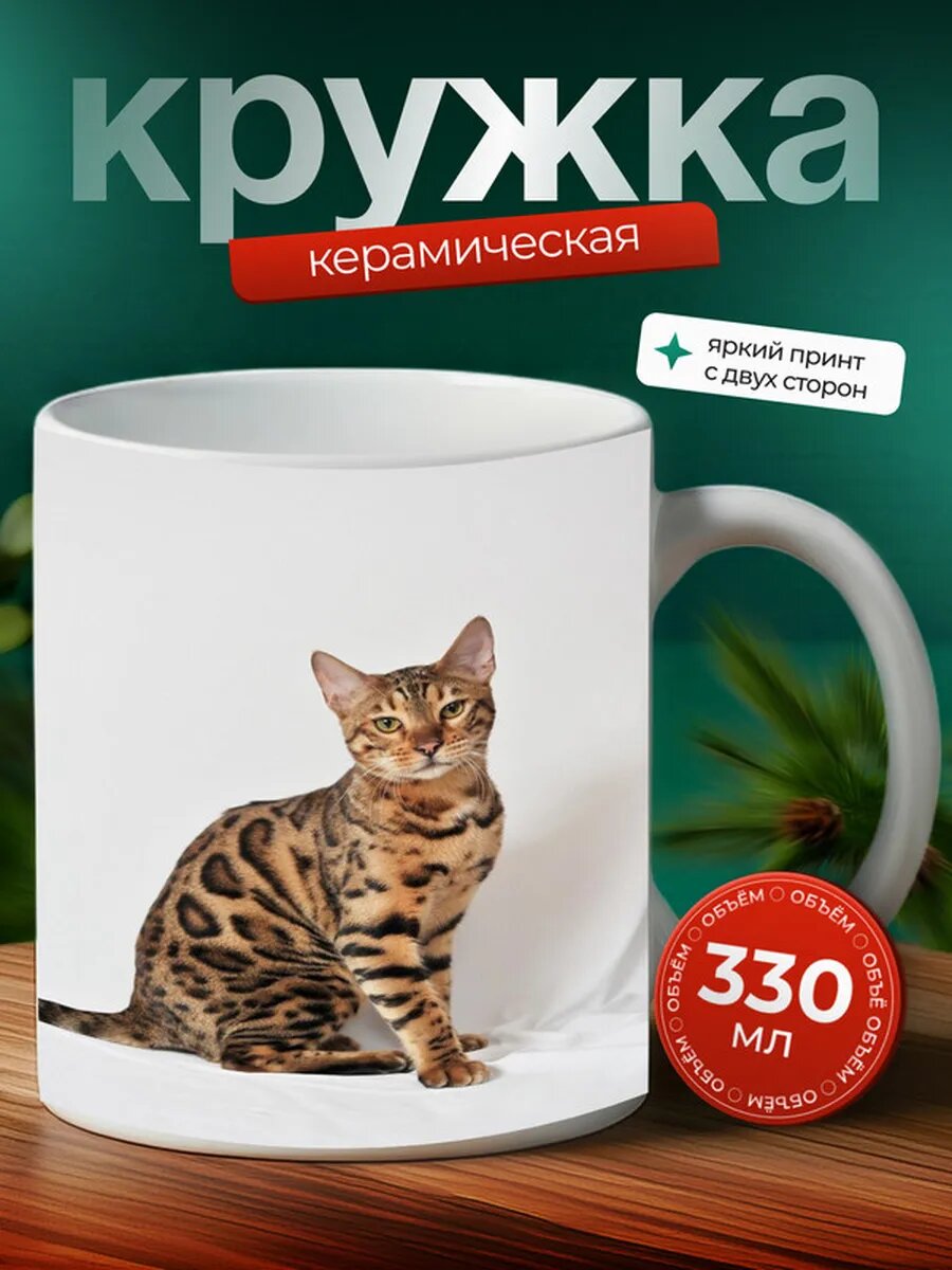 Кружка Азиатская табби кошка 8,