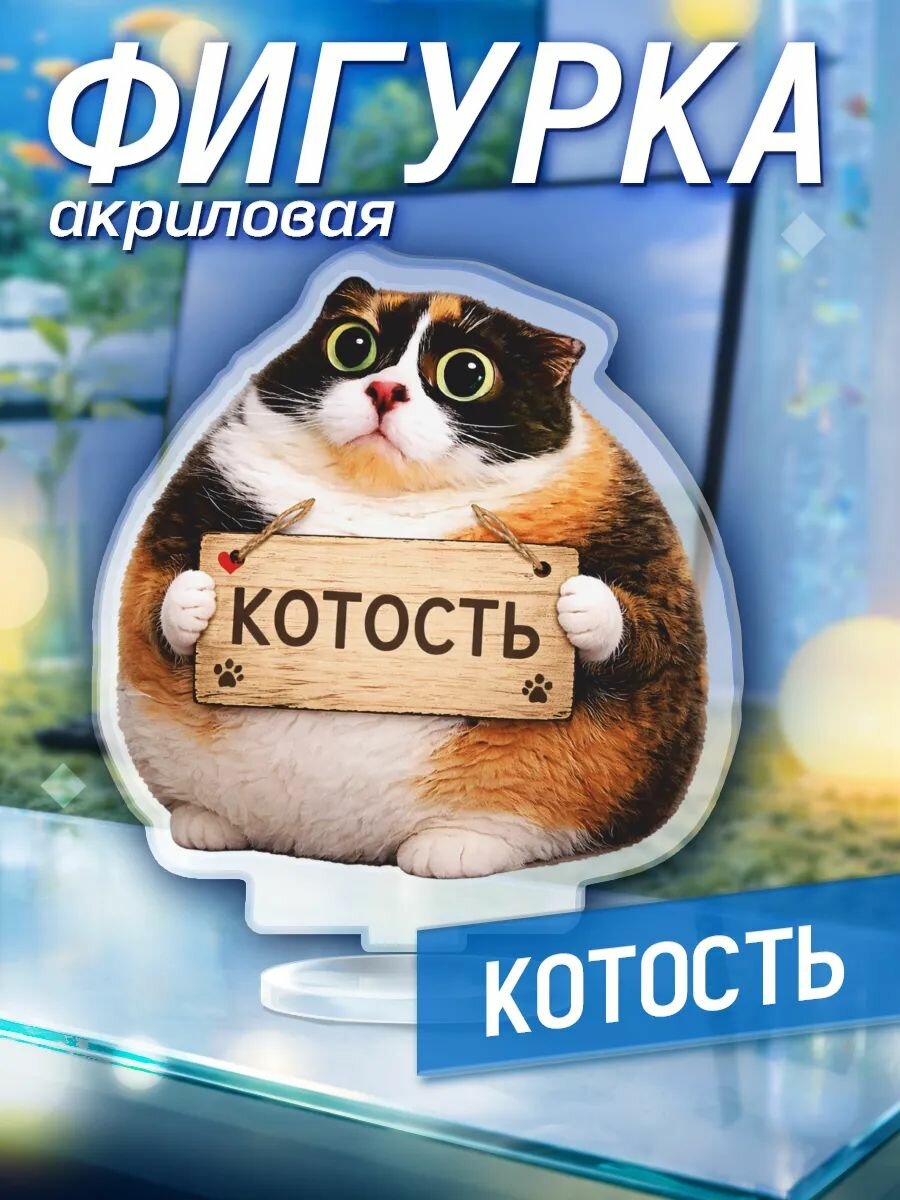 Акриловая фигурка Котость с табличкой Мем