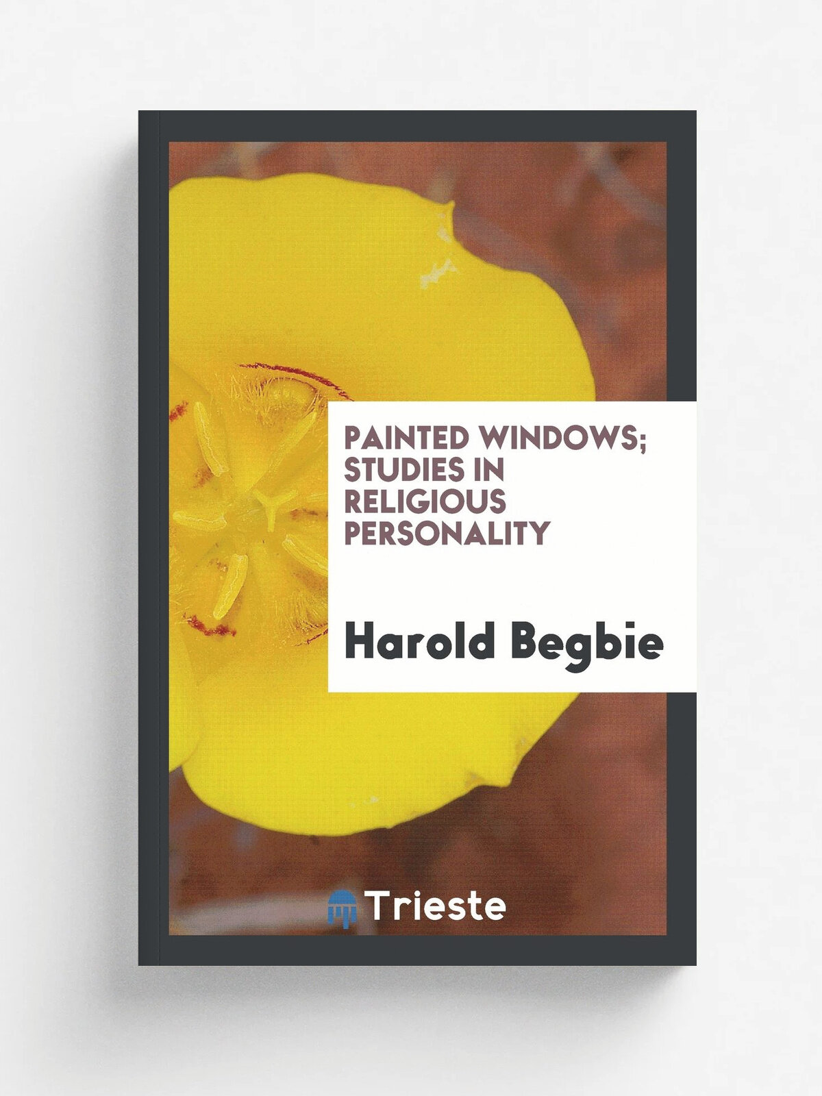 Painted windows; studies in religious personality