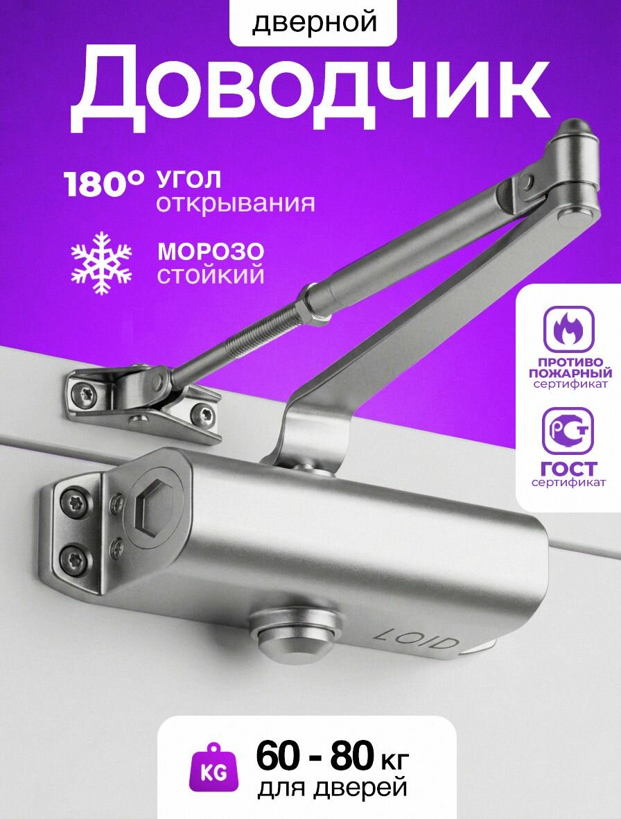 Доводчик дверной уличный морозостойкий, для входной двери, калитки, межкомнатный, от 60 до 80 кг, Loid 501 серебристый