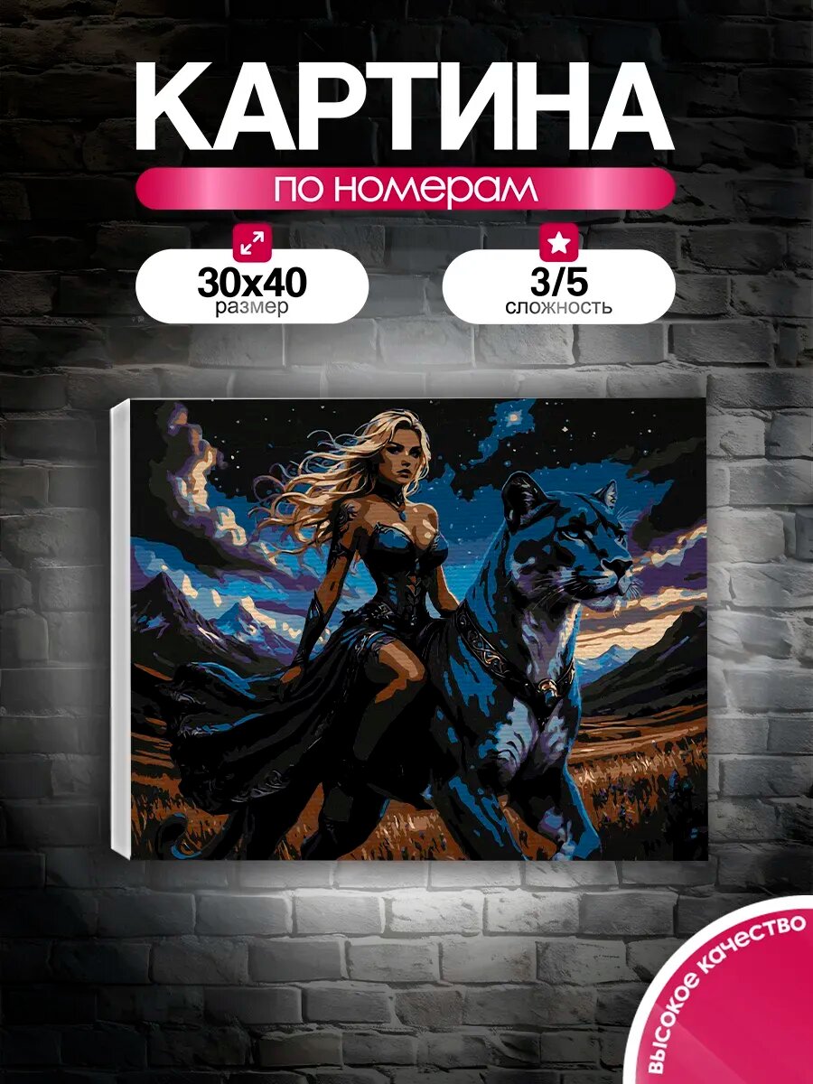 Картина по номерам 30x40 Девушка и пантера