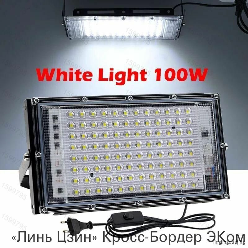 Светодиодный наружный прожектор мощностью 100 Вт/IP65/обычный тип проводки, 220-240 В, черный