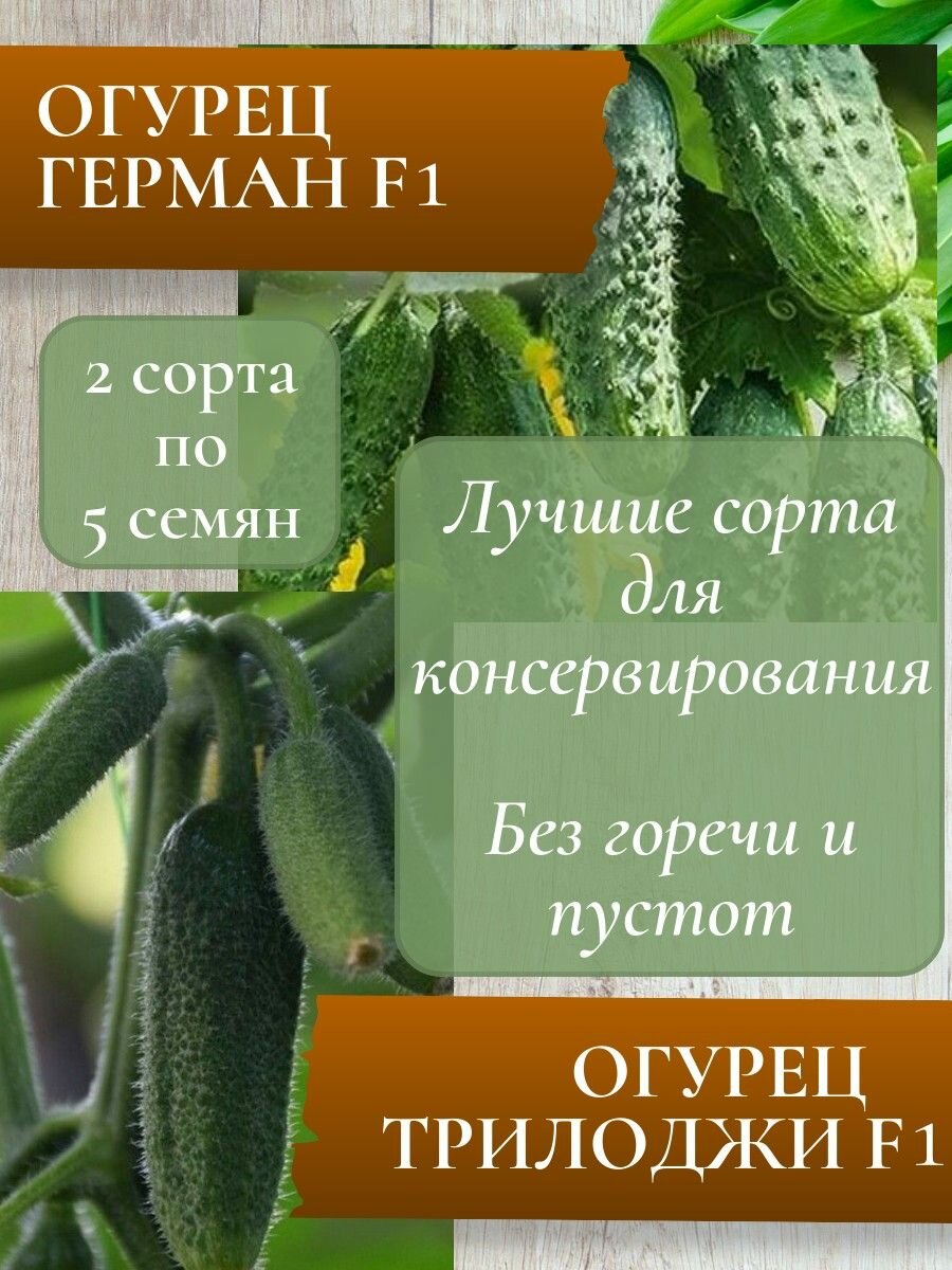 Набор семян огурцов Герман F1 (5шт) и Трилоджи F1 (5шт), раннеспелые, самоопыляемые, без горечи