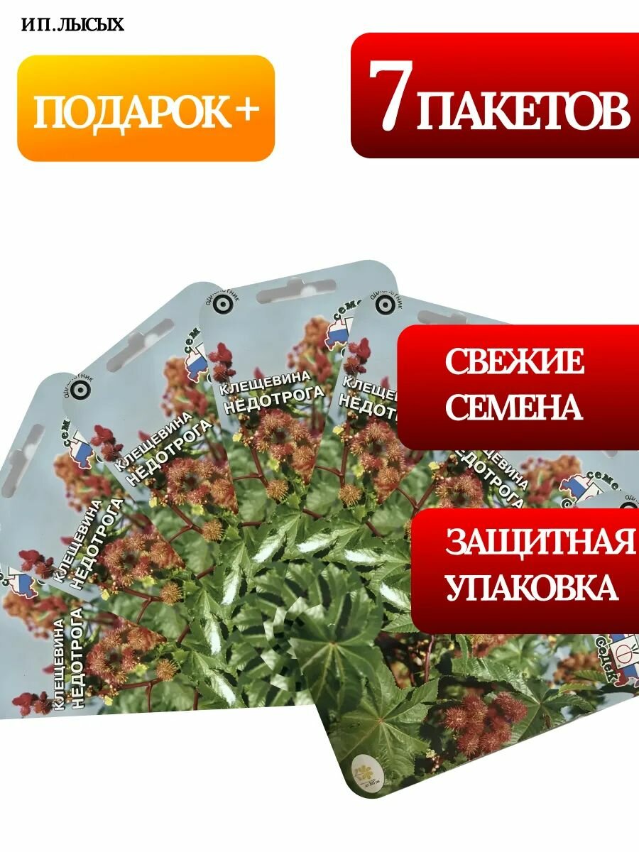 Семена Клещевина "Недотрога"