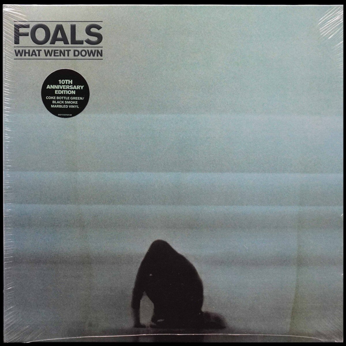 Виниловая пластинка Warner Foals – What Went Down (цветной винил)