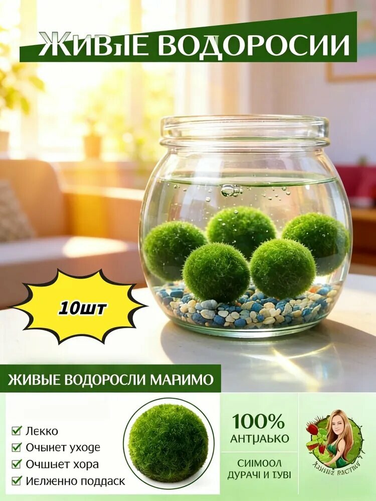 Живые водорослиНабор 10 шт, Натуральный мох шарики для аквариума, Символ удачи и любви