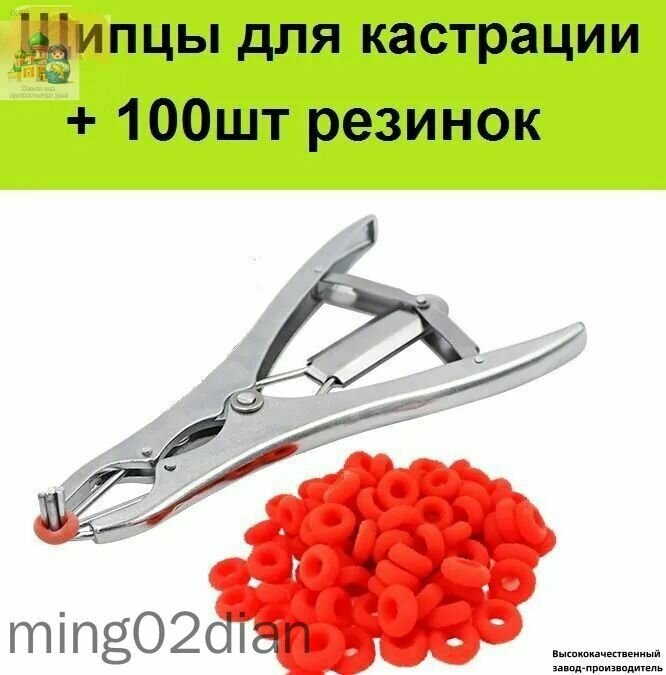 Щипцы натяжные для кастрации + 100 колец-резинок для овец, ягнят. Эластратор для баранов, козлят, козлов Новая модель 2025