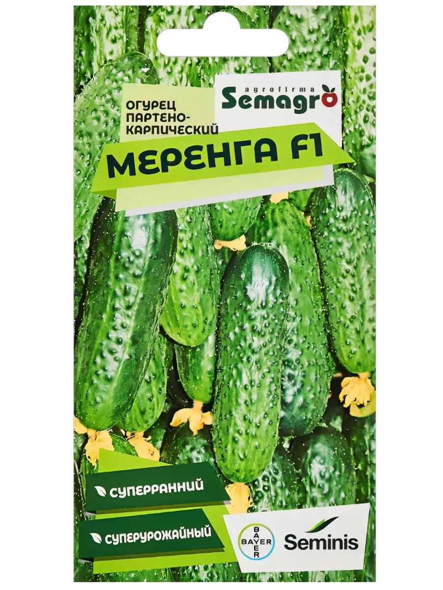 Семена огурец Партенокарпик Меренга