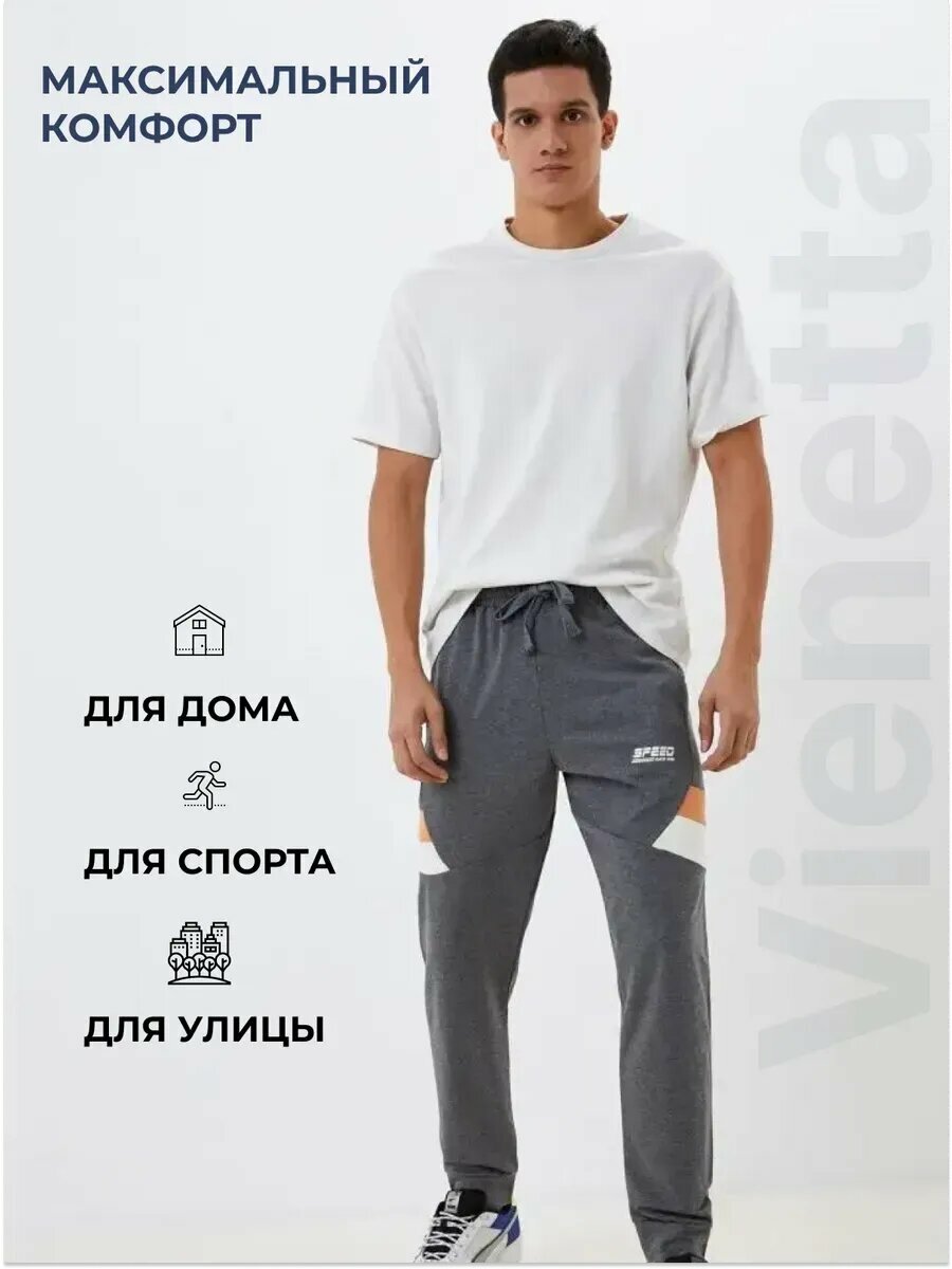 Брюки Vienetta, размер 2XL, серый/полоска — фото 1