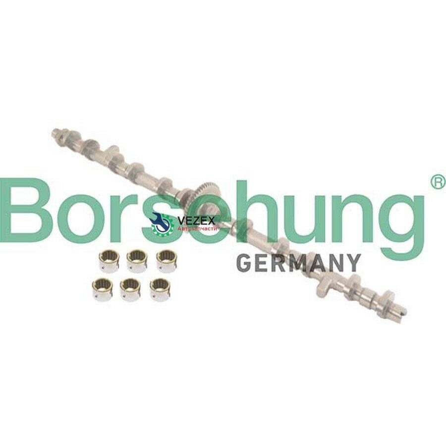 BORSEHUNG B12679 Распредвал, комплект
