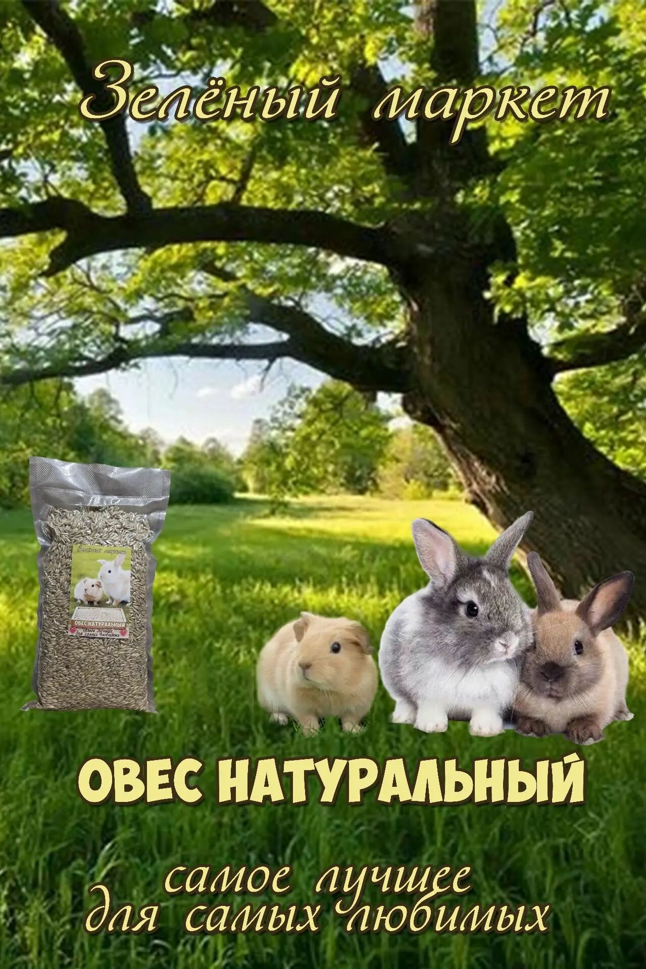 Овес натуральный