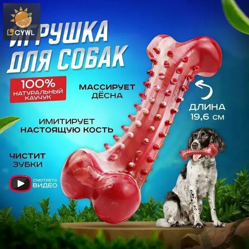 Прочная резиновая кость Mr.James для собак - игрушка для жевания и здоровья зубов