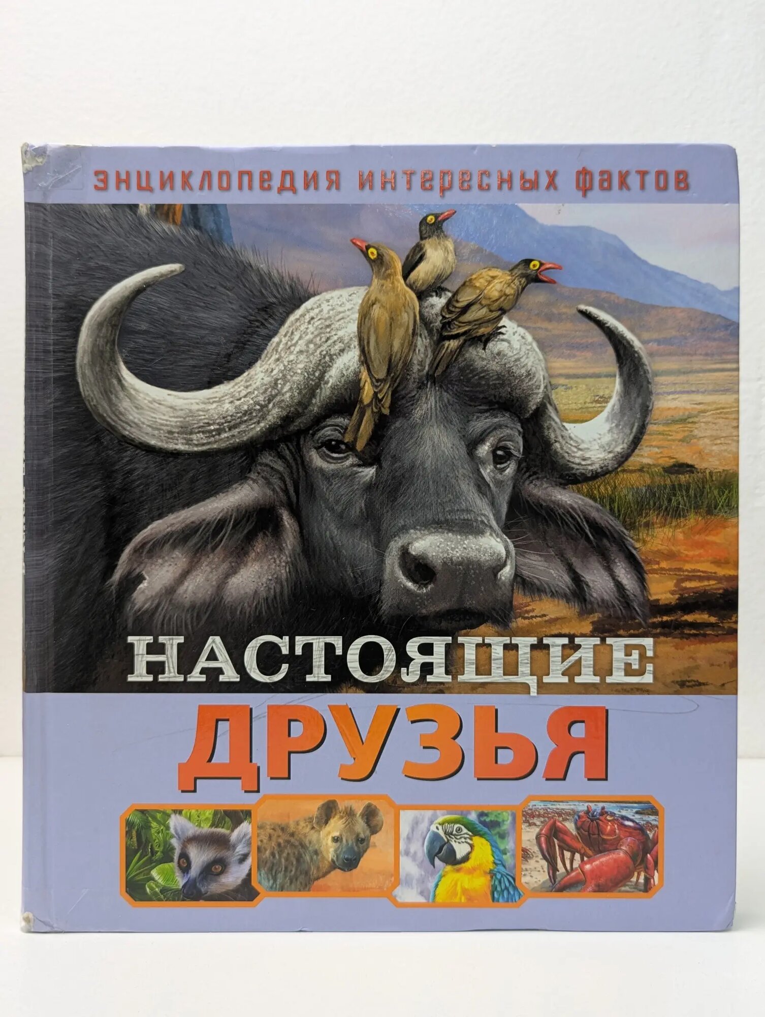 Энциклопедия интересных фактов. Настоящие друзья Баголи Илона 2019