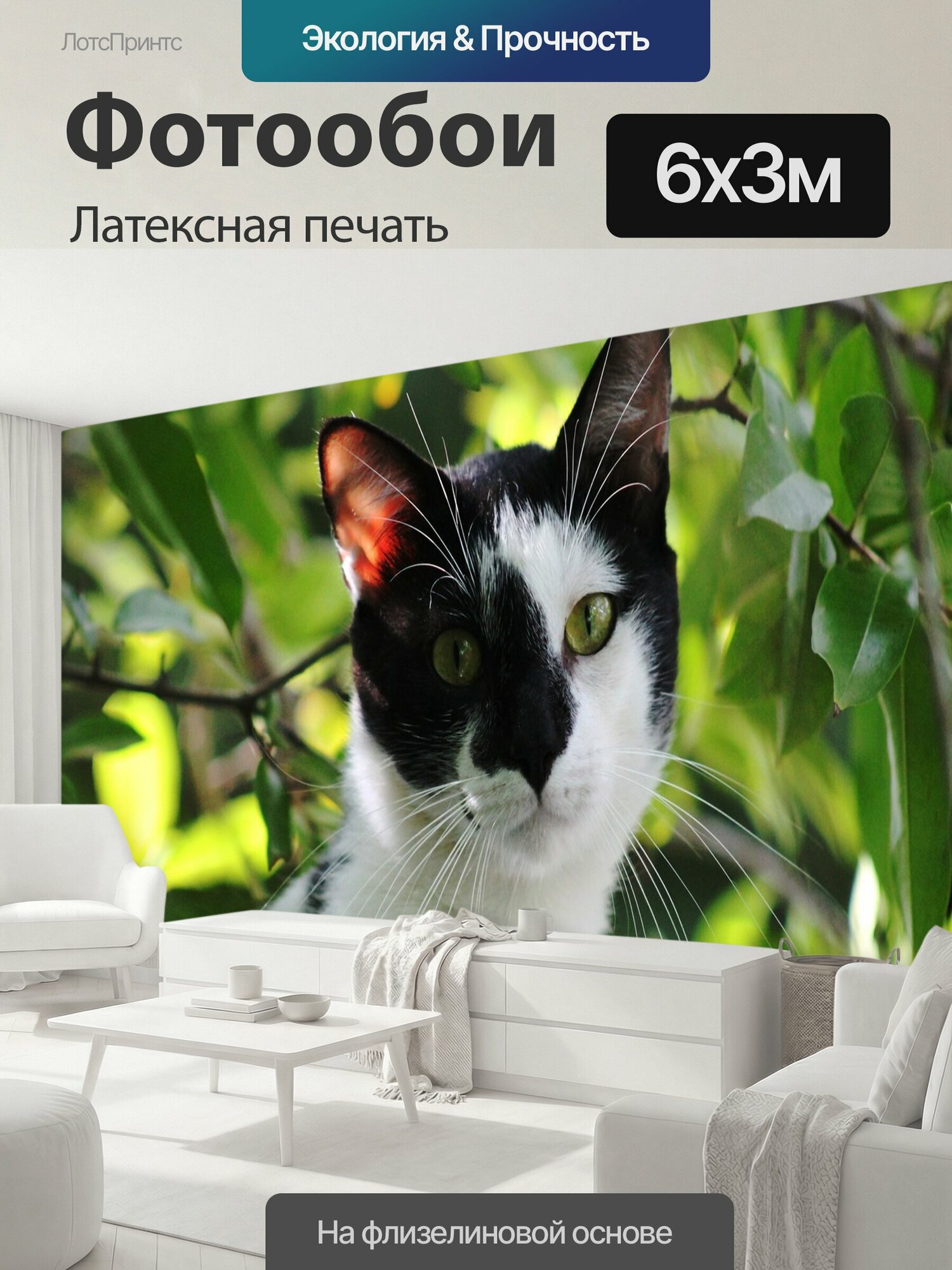Фотообои моющиеся ударопрочные "Кот, природа, животные" 600x300 см. латексная печать