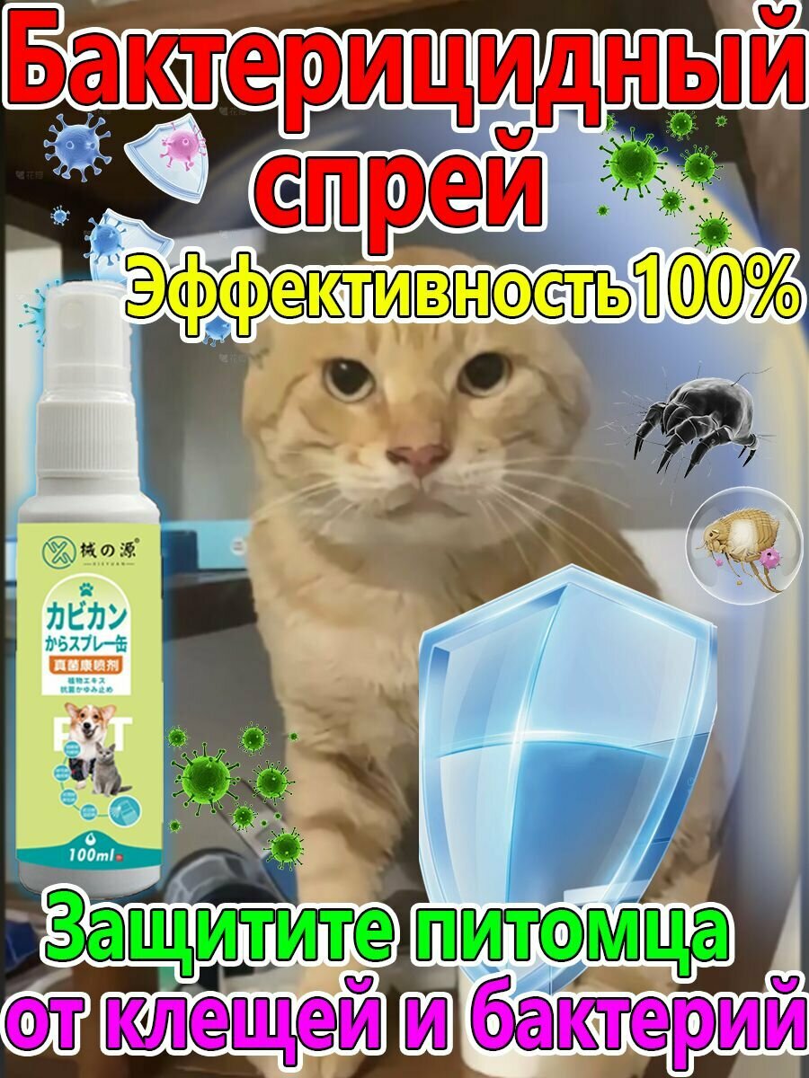 Спрей от бактерий, чесотки и клещей для собак и кошек Антибактериальный и противопаразитарный Безопасный, снимает зуд, лечит кожу