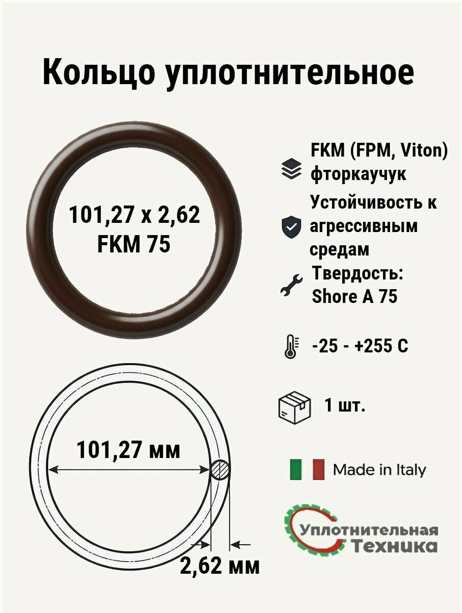 Кольцо уплотнительное 101,27х2,62 FKM75, 1 шт.