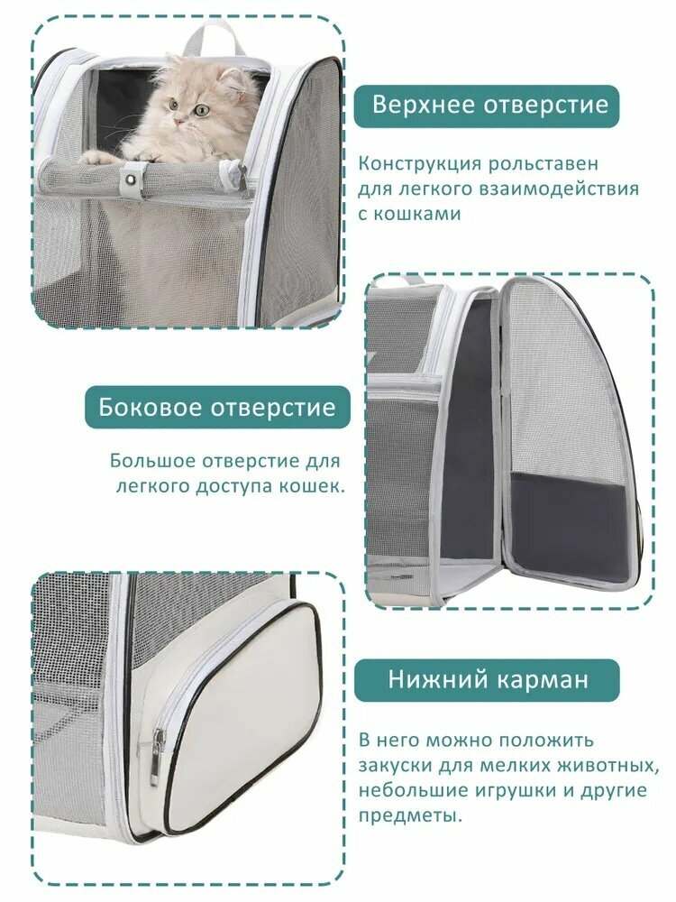 Переноска — фото 1
