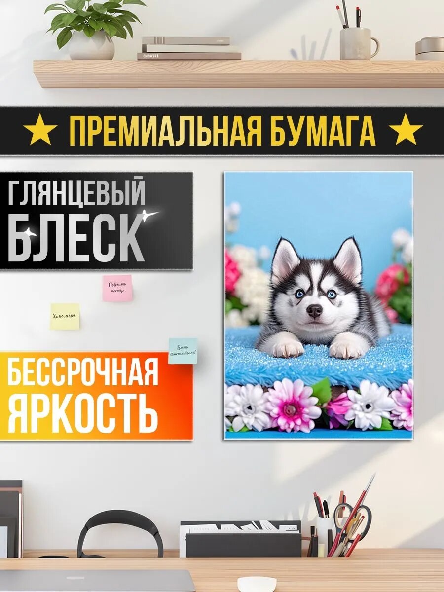 Постер на стену Хаске и цветы — фото 1