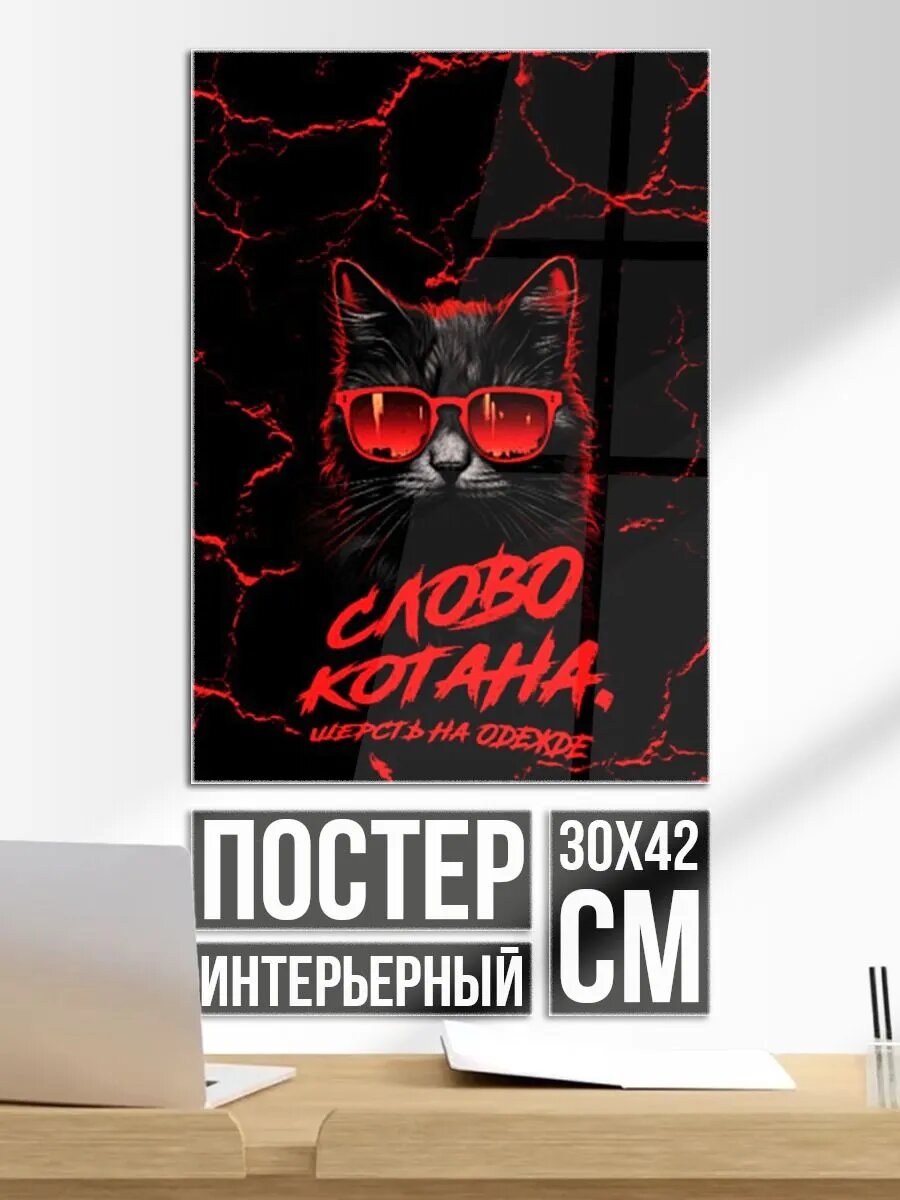 Постер на стену Слово котана - шерсть на одежде