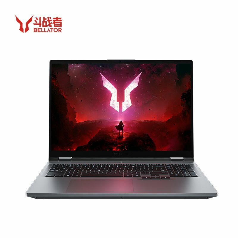 Игровой ноутбук Lenovo Lecoo Bellator 7000, AMD Ryzen 9 8945HX, RTX 5060, 16 GB, 1 TB, серый